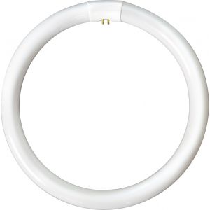 Circular Tubes - Fluorescent Lamps - Lamps & Lighting