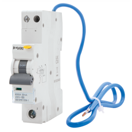 1 Pole + Switched Neutral Bi-Directional True 6kA B Curve 10A 30mA RCBO